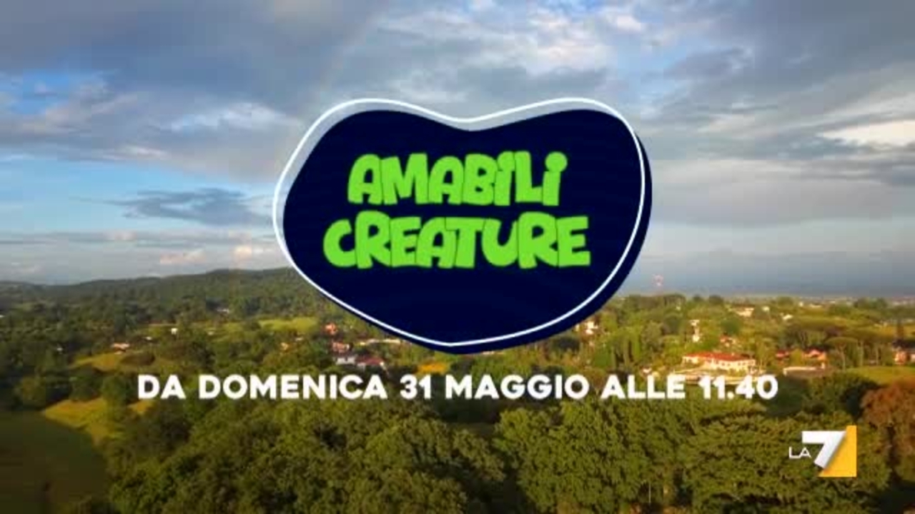 Amabili creature con Chiara Giordano, la domenica alle 11.40