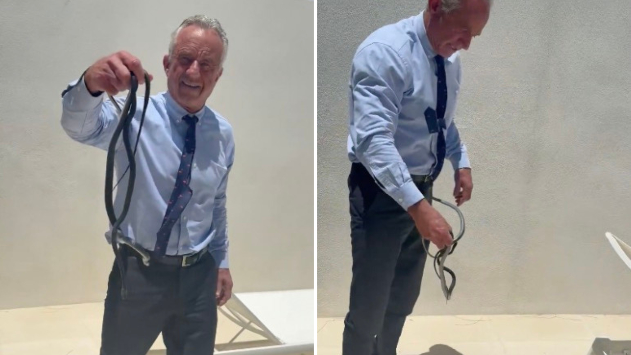Robert Kennedy Jr morso da un serpente in Florida: il video | LA7
