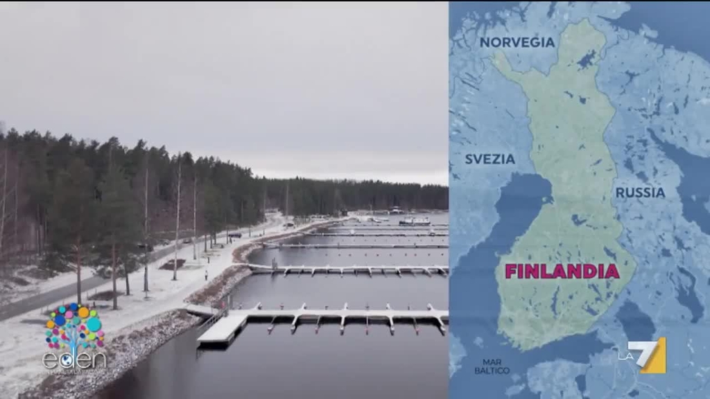 Finlandia - Il Lago di Saima