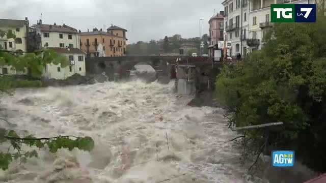 Cos'è il melanoceto, il "diavolo nero" avvistato a Tenerife | TG LA7