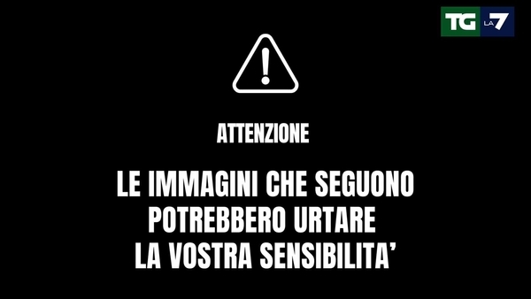 Tg digital del 14 gennaio | TG LA7