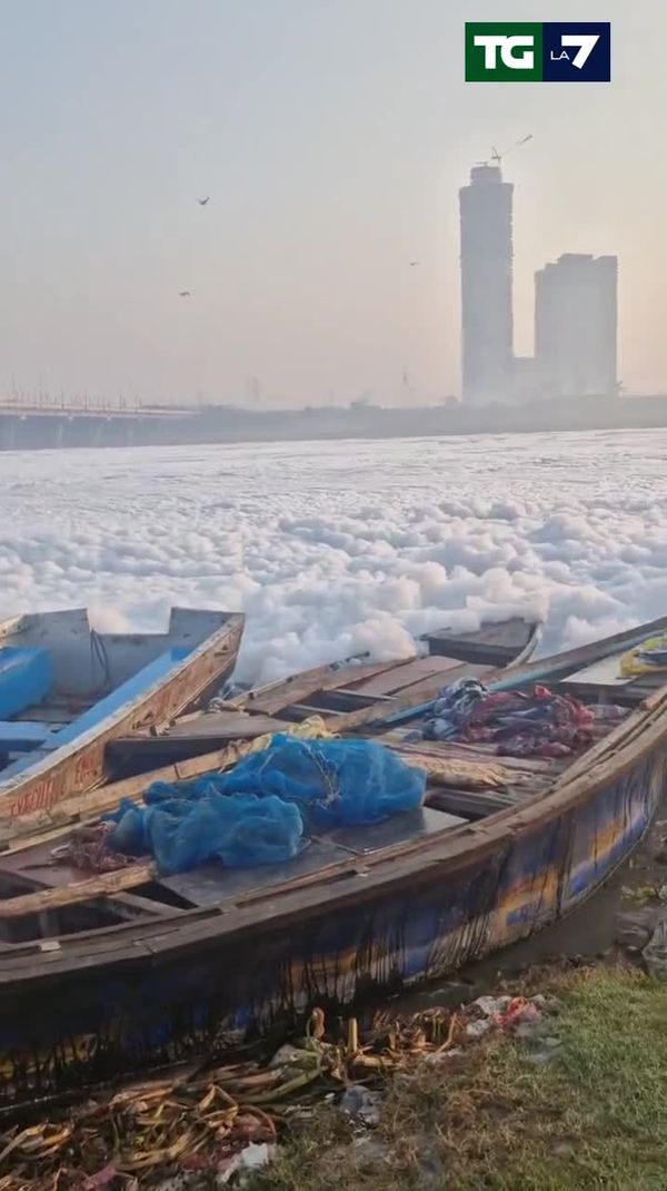 TGLA7 ultime notizie | TG LA7