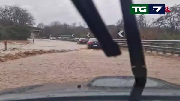 Gaza, Meloni su profilo Pro-Pal: “Lavoro ogni giorno sul genocidio ...